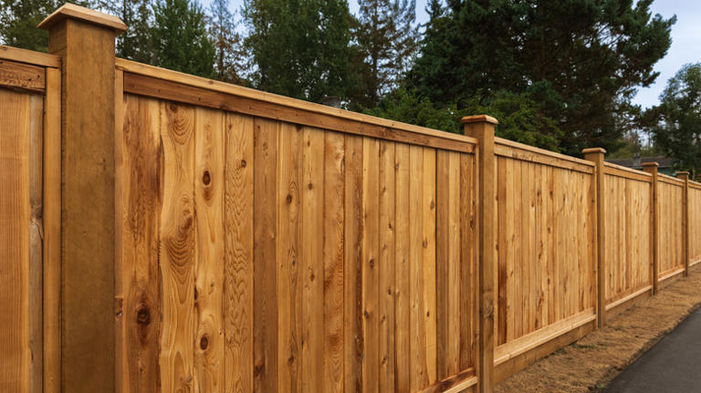 Everything you can and cannot do on your side of a shared fence