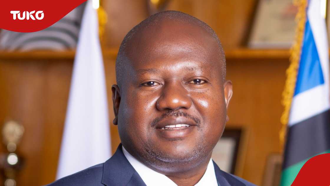 Kenya’s war on illicit alcohol: NACADA CEO explains why seizing ...