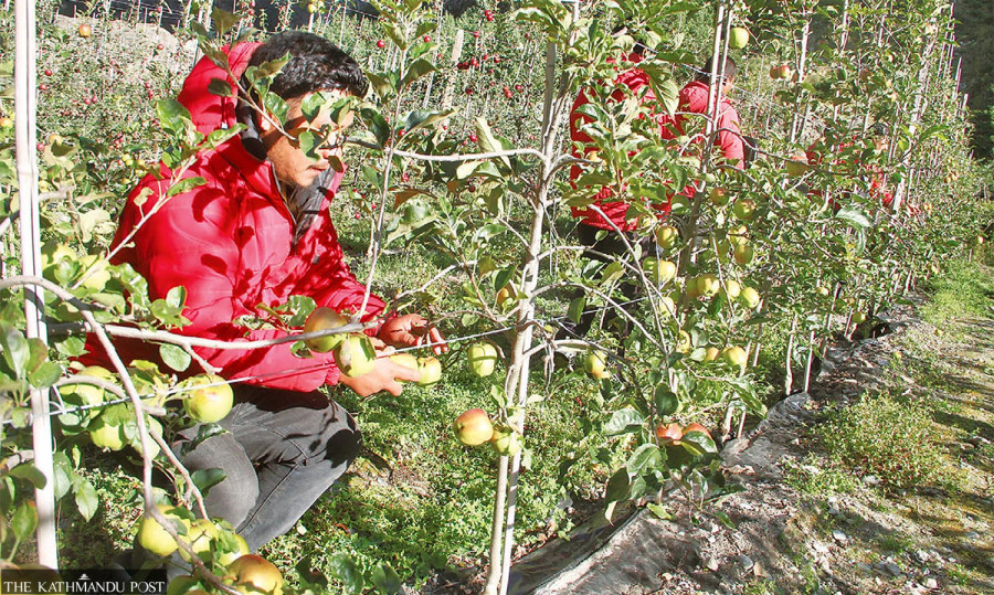 Nepal allows sending workers to Israel's agriculture and caregiving sectors