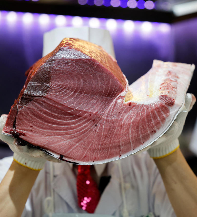 Japanese sushi chain drops $3.2 million on 535-pound bluefin tuna
