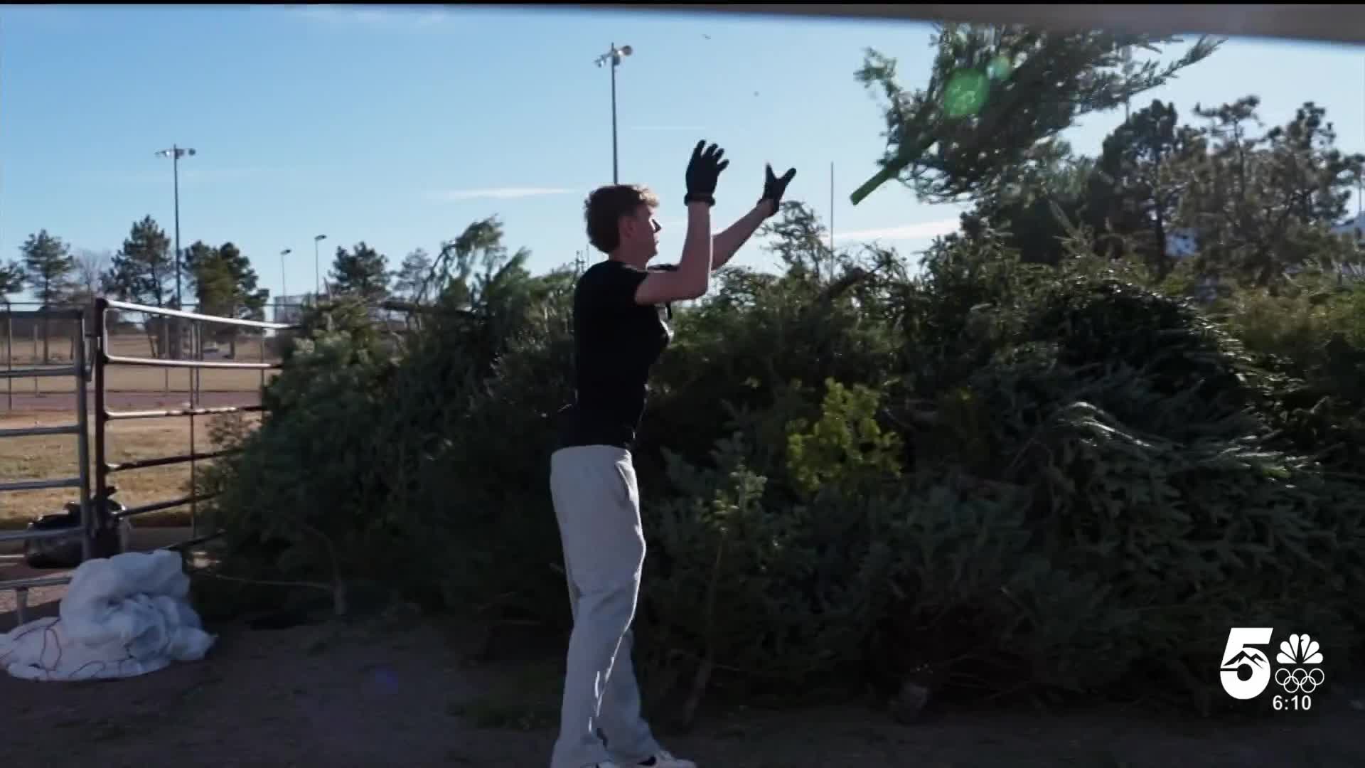 'It teaches you a lot about life': The real impact of this tree program