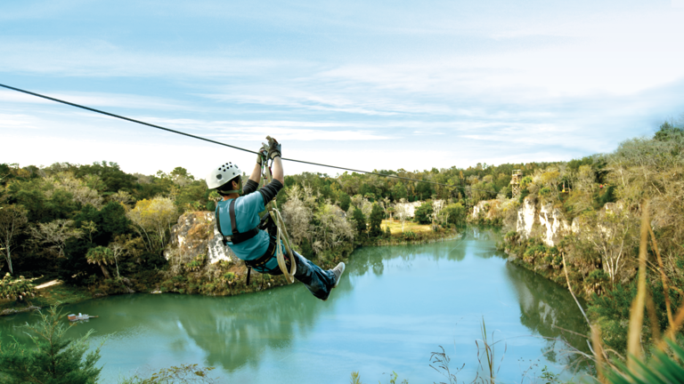 Trade snow for sun-kissed adventures: Your mid-winter escape to Florida