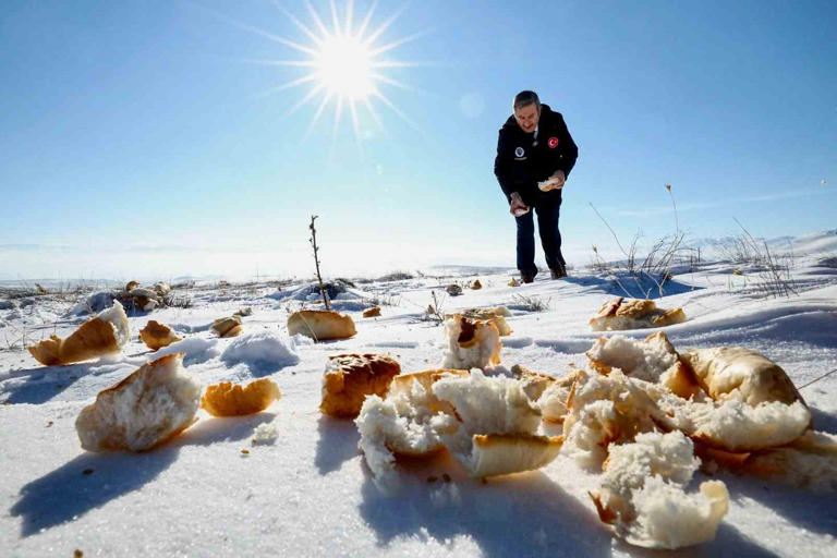 Malatya Darende’de yaban hayvanları için doğaya yem bırakıldı