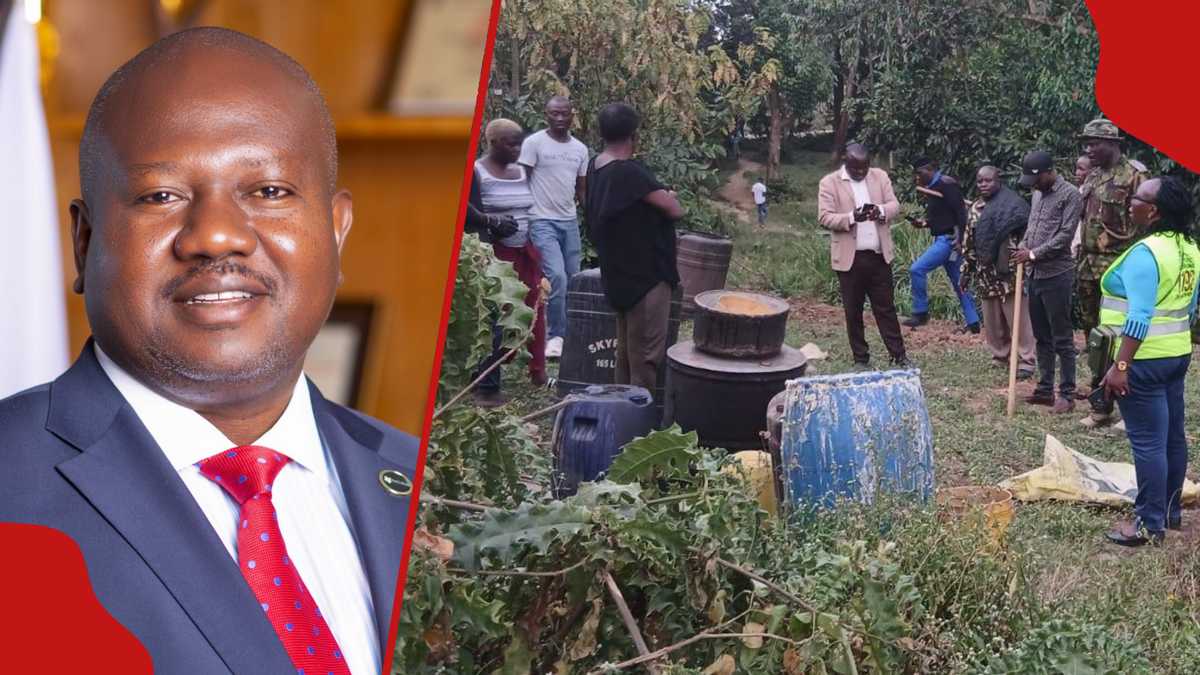 Kenya’s war on illicit alcohol: NACADA CEO explains why seizing ...