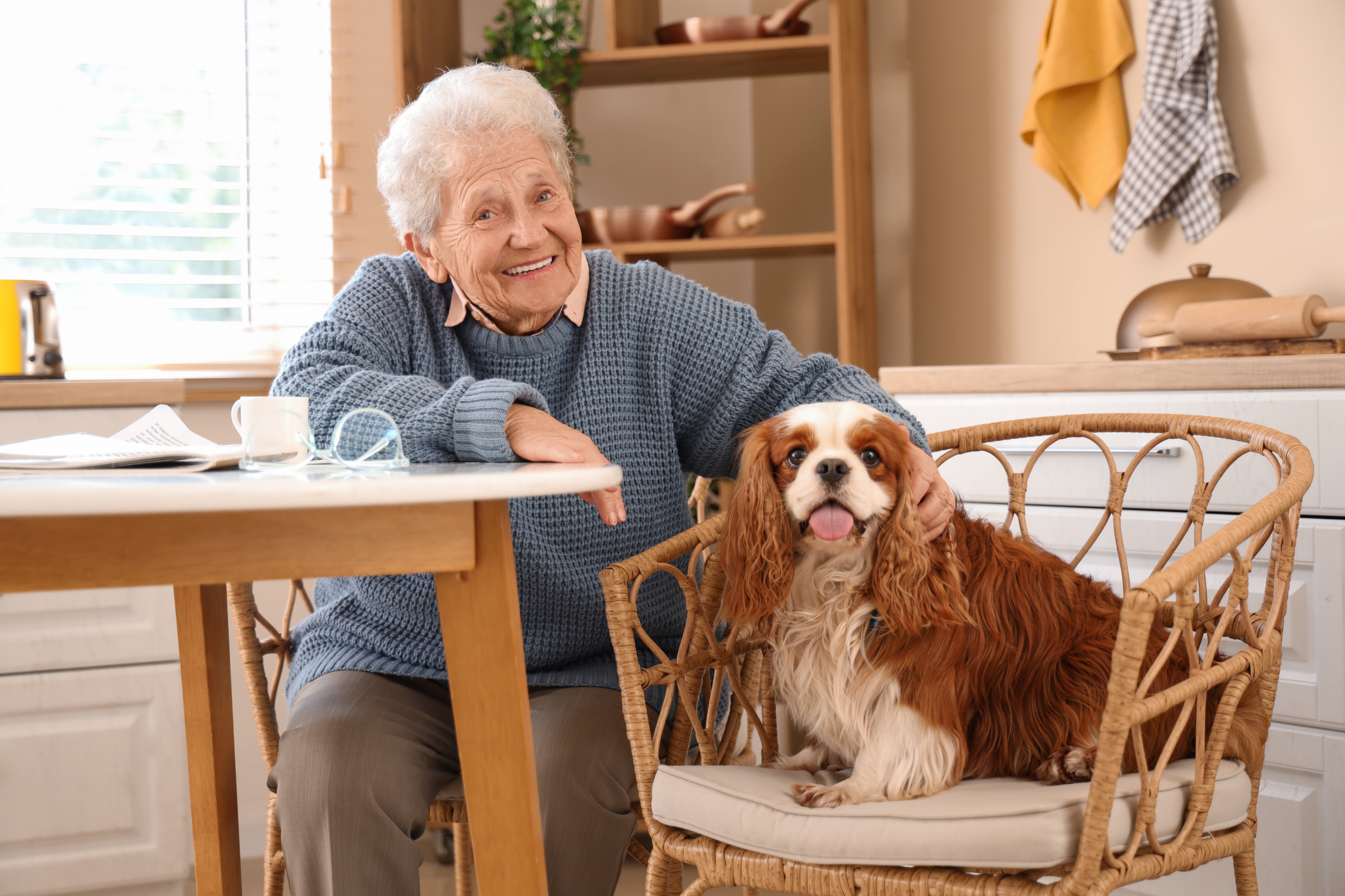 Dogs for the elderly 2026: Here are 14 breeds of adorable dog perfect ...