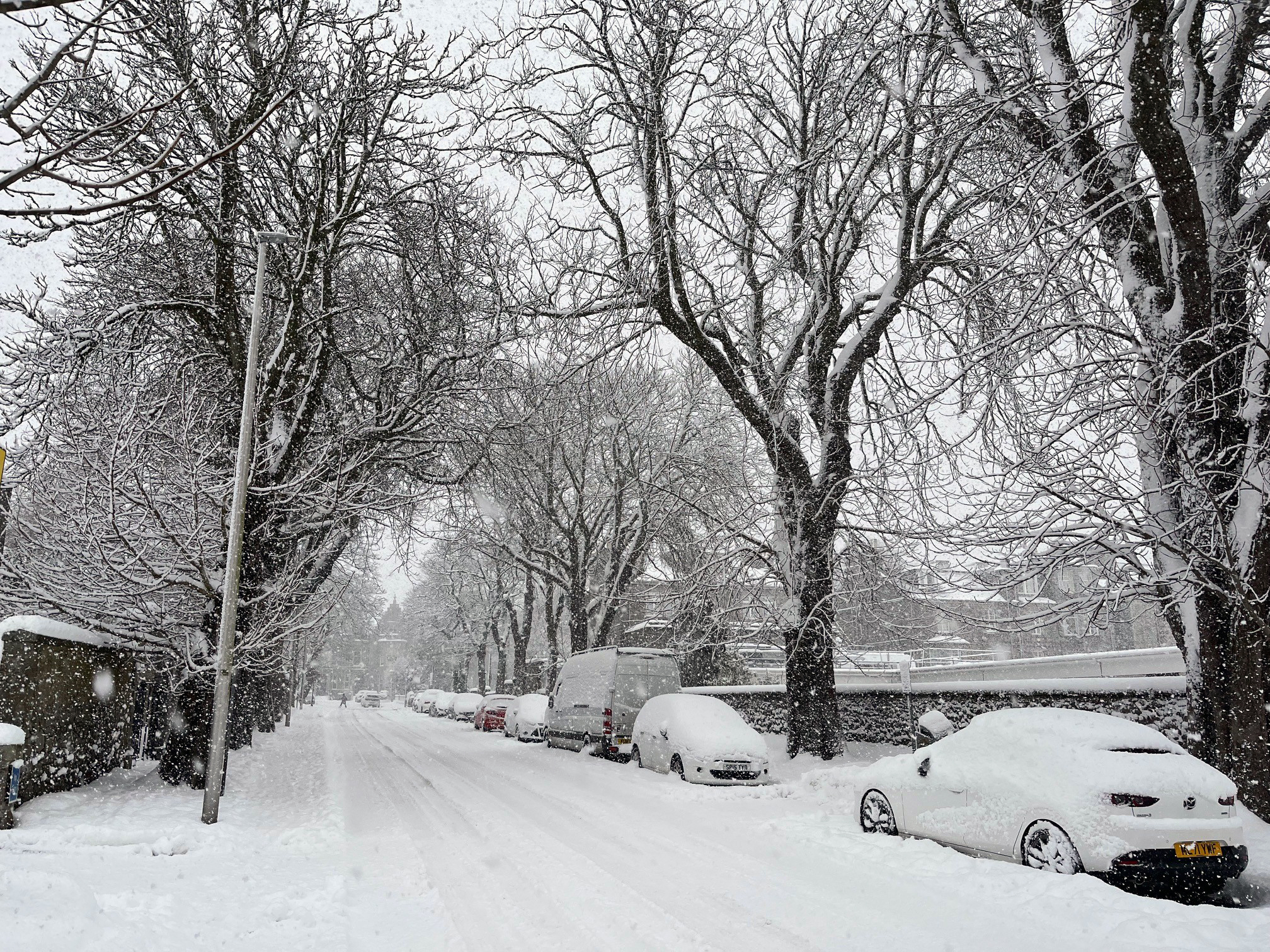 Weather warnings extended as Scotland hit by heavy snow