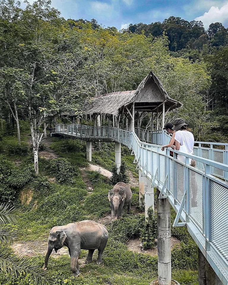 10 must-do family activities in Phuket