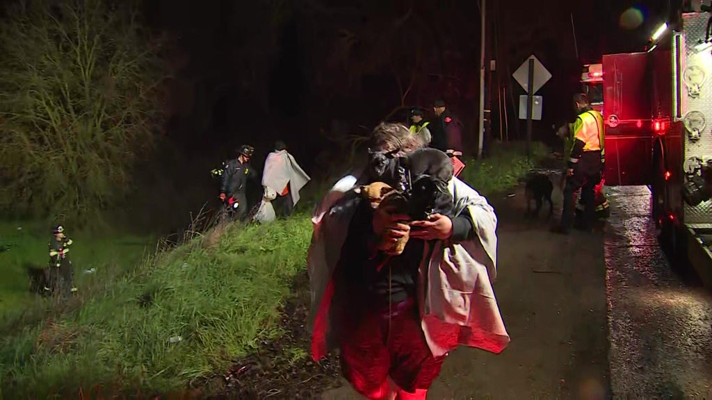 5 people, 3 dogs rescued near Galt as waterways swell from rain