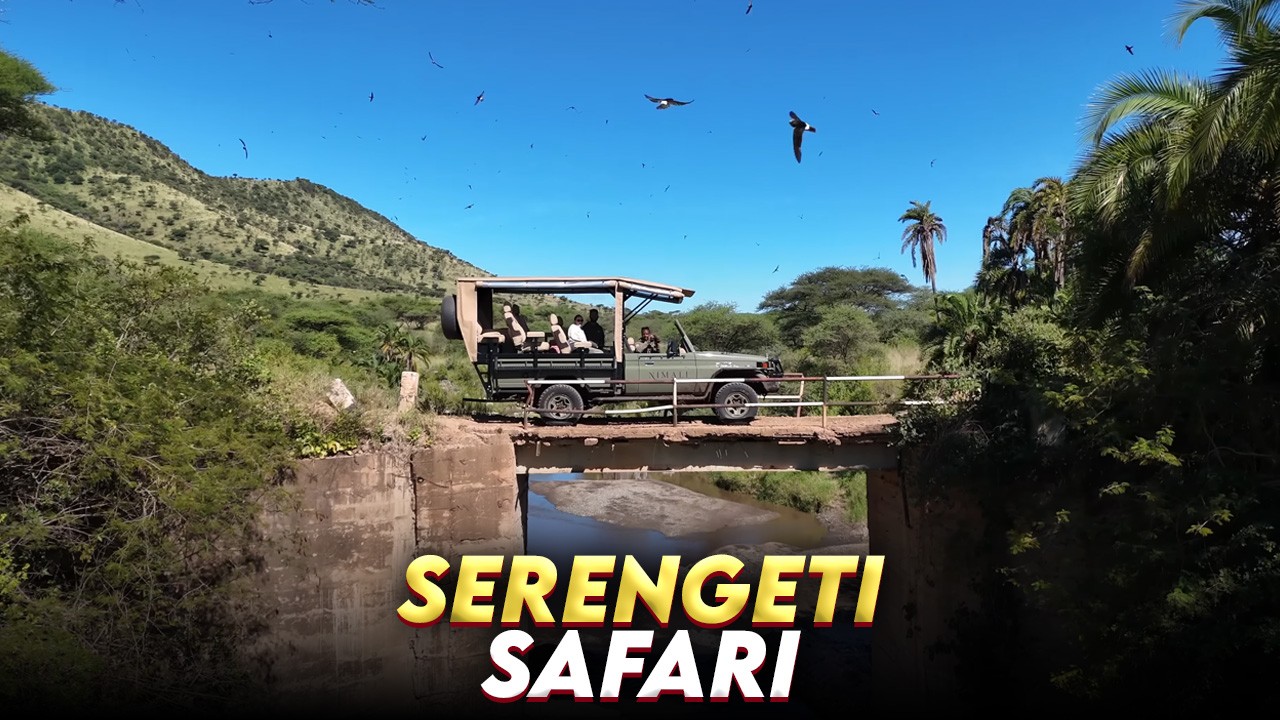 Alone in Africa’s wilderness: Serengeti safari at Nimali Mara