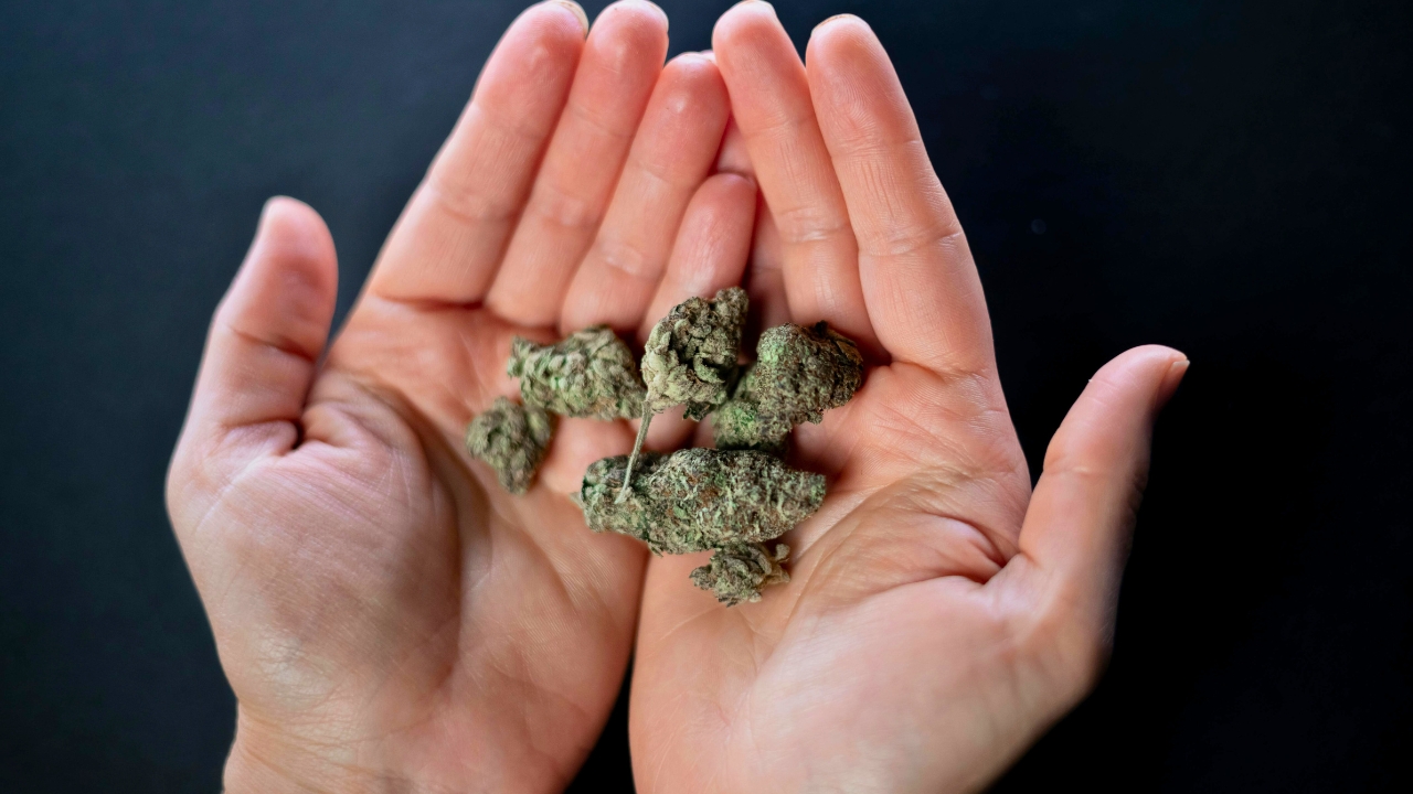 Cannabis + guns is heading to SCOTUS — the timeline and what’s really ...