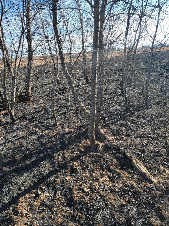 Grass fire extinguished in rural Kansas amid 'extremely dry' conditions