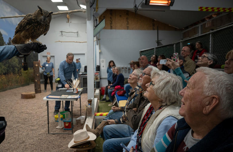 Can a crow teach recycling? That's one goal of a Pinetop raptor show