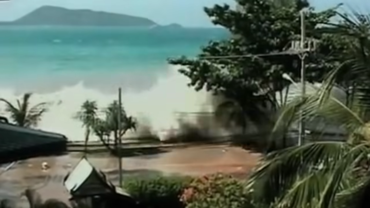 Why tree planting is not the climate fix people think it is