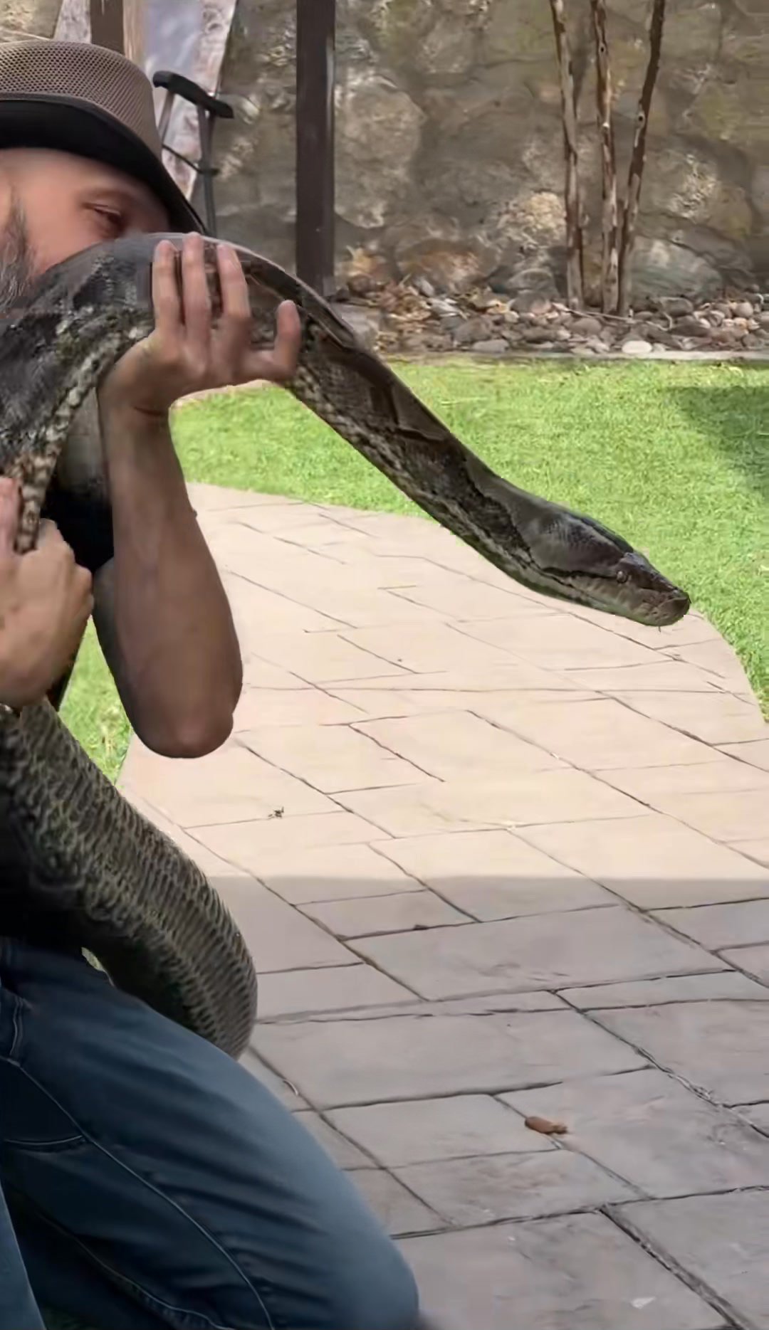 We took Jinx out for some sunshine and exercise!