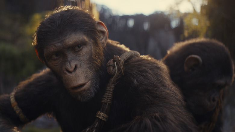 Kingdom of the Planet of the Apes ending explained: Can apes & humans ...