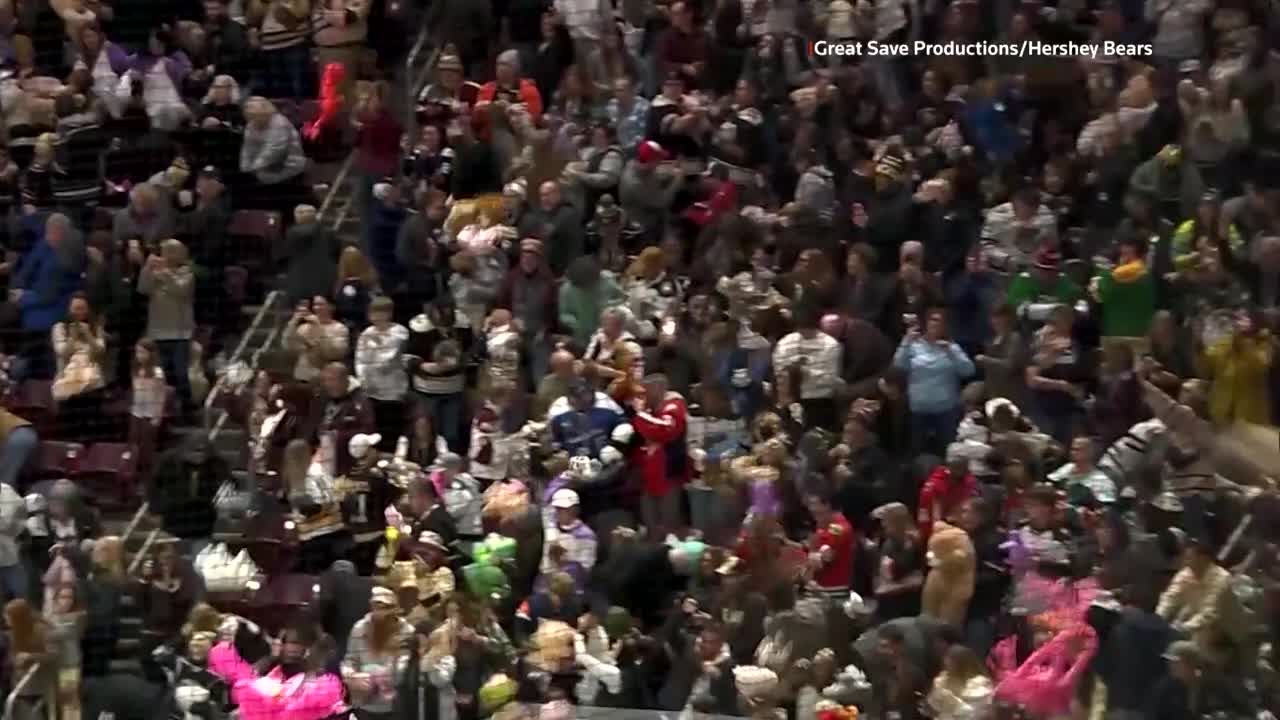 Plushie mayhem in Pennsylvania at annual Teddy Bear Toss