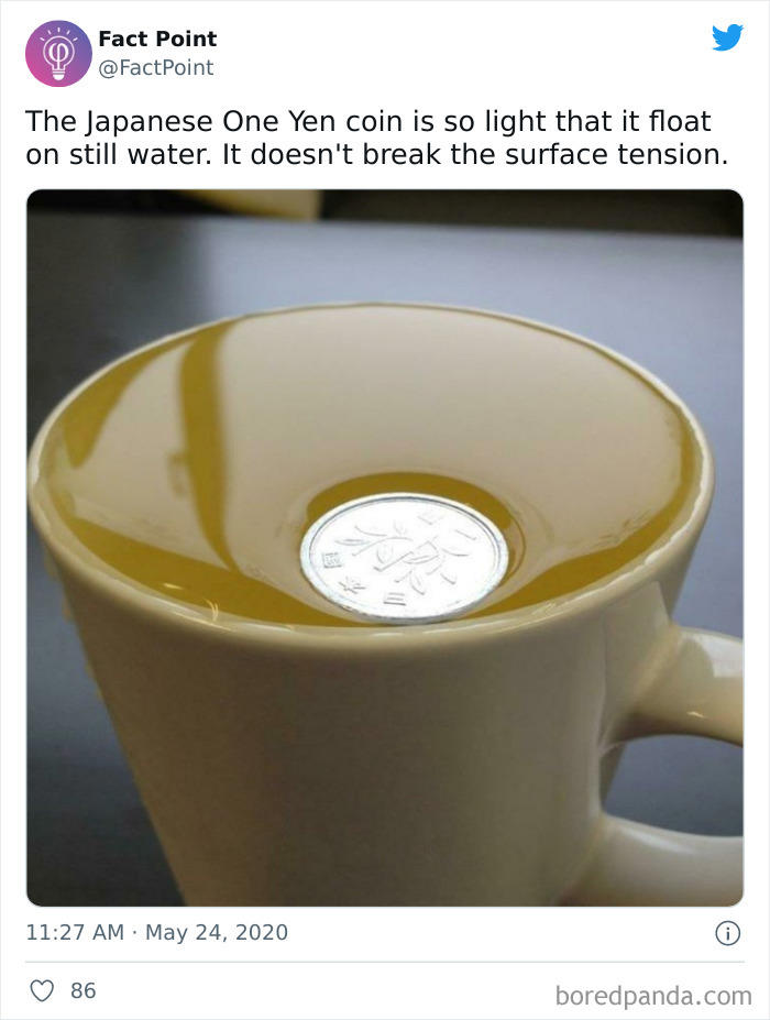 35 interesting facts about practically everything you might not have ...