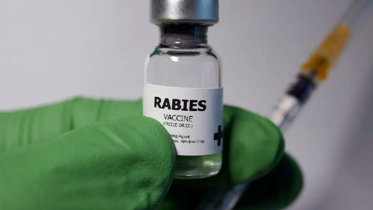 Delhi government to declare human rabies a notifiable disease: What ...