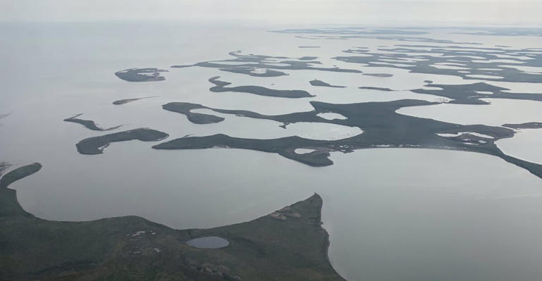 Ancient life form roars back after 40,000 years from Alaskan permafrost