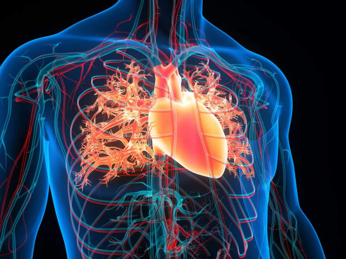 6 foods to boost blood flow before workouts