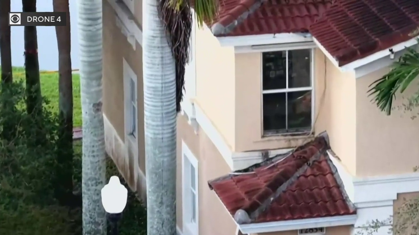 French bulldog stolen after man pistol whipped, Miramar police say