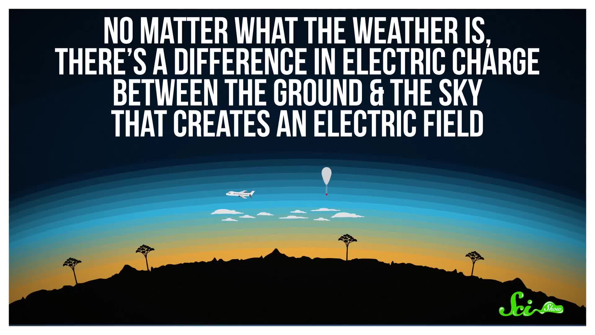 Turns out, spiders use electricity to fly