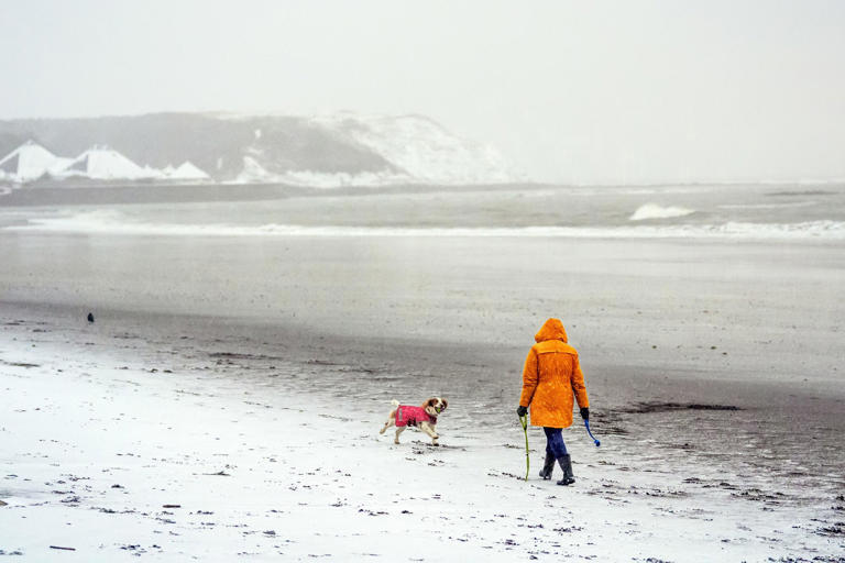 Snow in Yorkshire: More stunning pictures show Yorkshire coated in snow ...