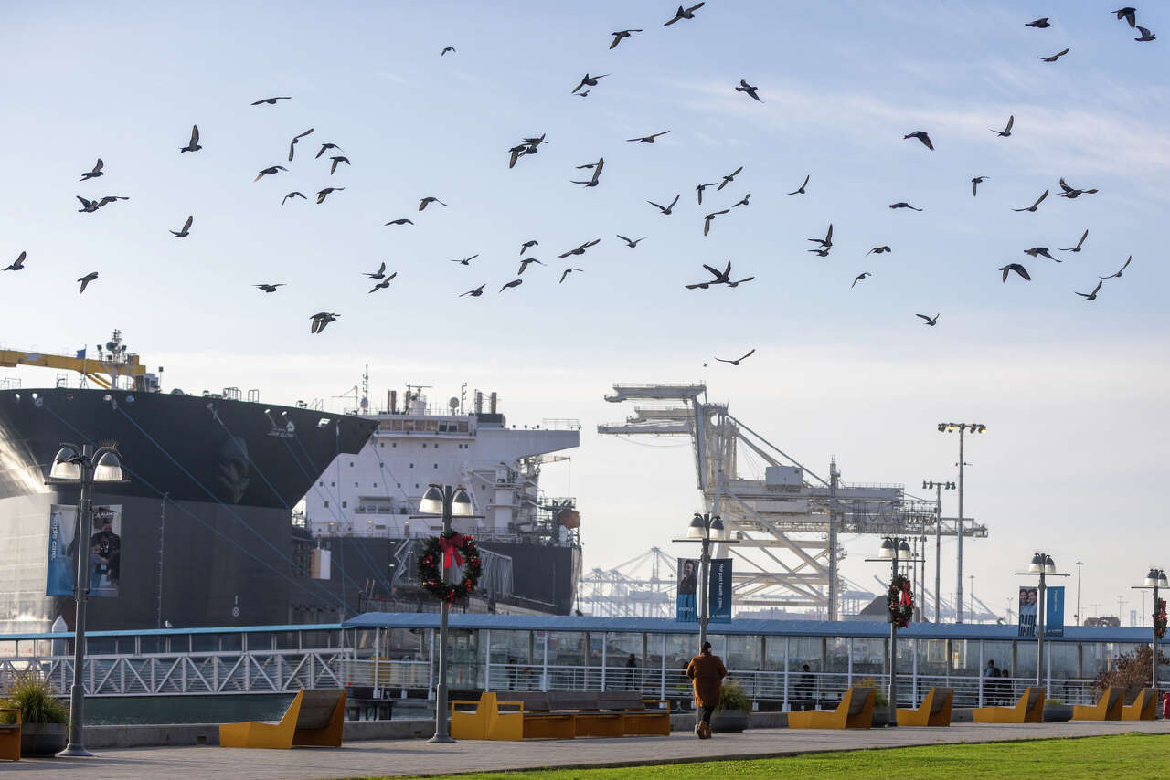 My famed Bay Area neighborhood is a 'ghost town.' That may change in 2026.