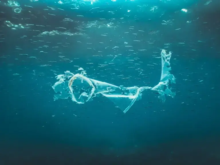 5 toxic habits that hurt your home, health, and the planet