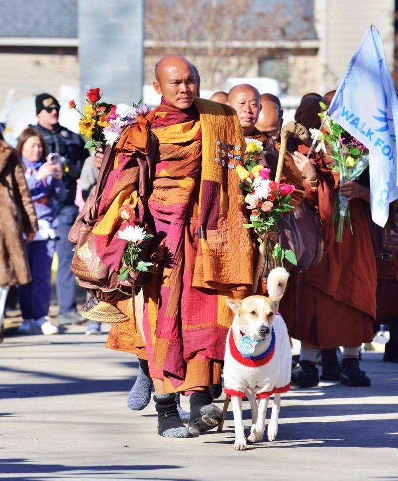 Why is Indian street dog Aloka's 112-day journey with Buddhist monks ...