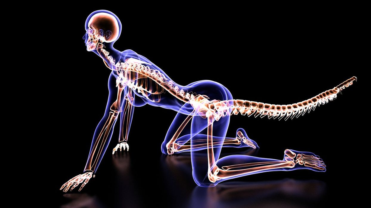 Scientists have discovered real reason why humans no longer have tails