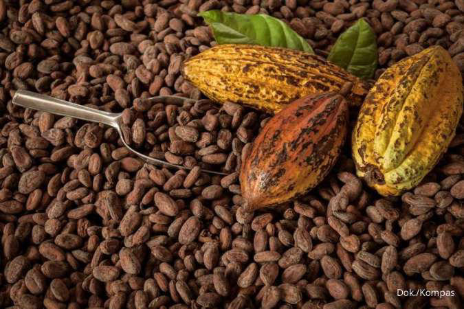 Harga biji kakao dinilai sudah normal, petani masih hadapi sejumlah ...