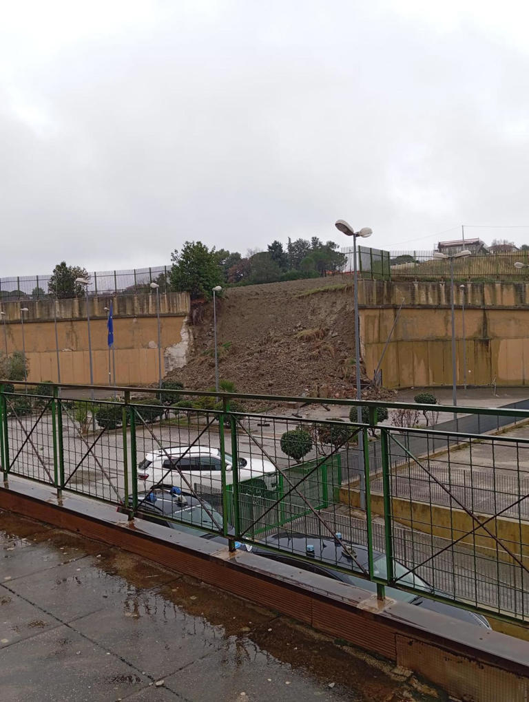 Maltempo, un albero colpisce due auto ad Ancona, passeggeri incolumi