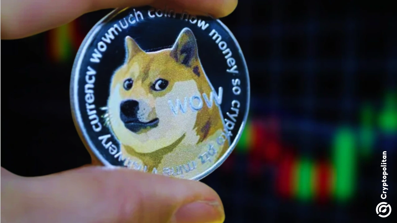 Meme coins start 2026 hot as traders look for high-return markets