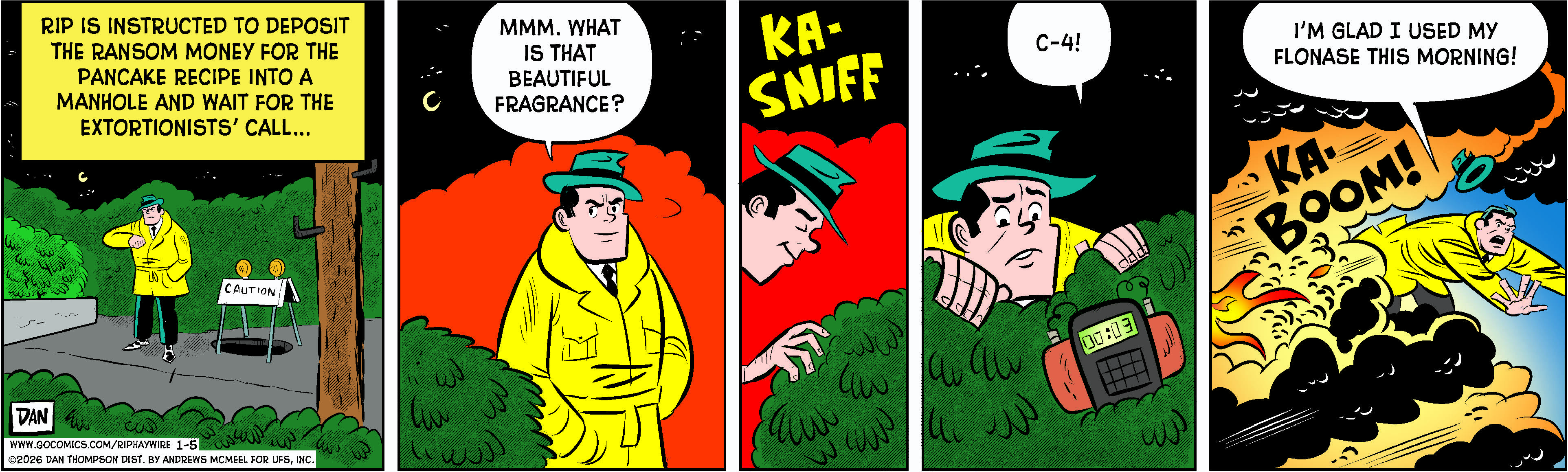 Rip Haywire by Dan Thompson