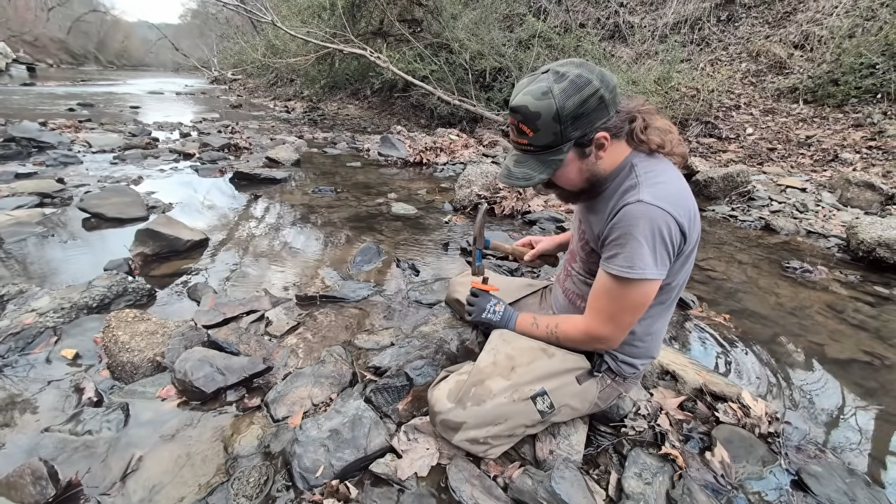 Alabama was once a tropical rainforest 320 million years ago