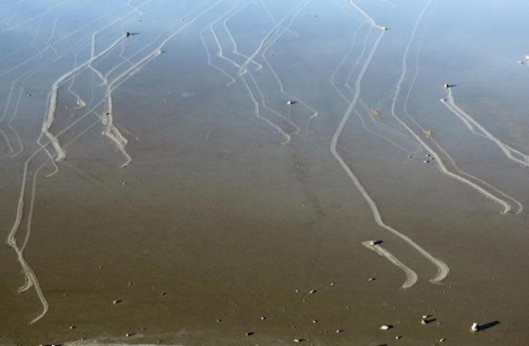 For 100 years, these giant desert rocks moved on their own... now we ...