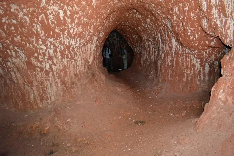 Unexplained Giant Tunnels Found—Largest Burrowing Land Ever Mapped