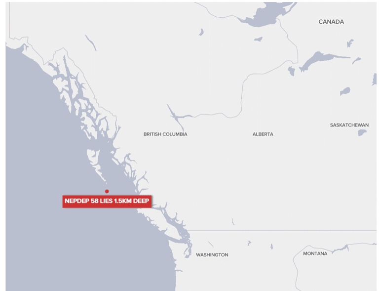 Scientists Uncover Massive Deep-Sea Eggs Inside on Active Volcano ...