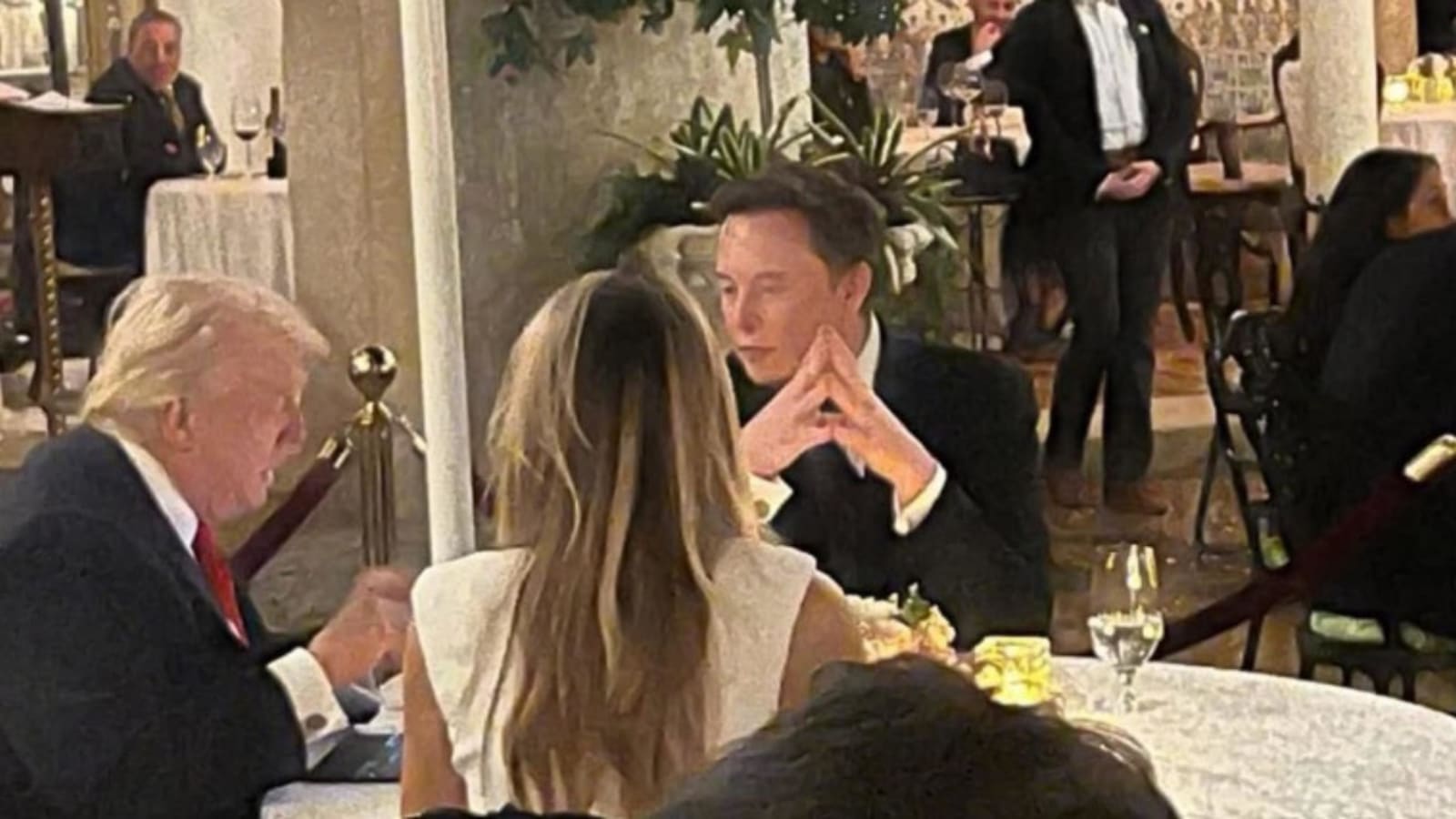 Elon Musk's 'lovely dinner' with President Trump and First Lady ...