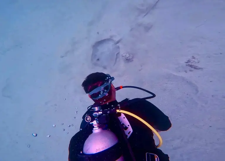 How one rescue by diver in Fujairah put UAE on global marine ...