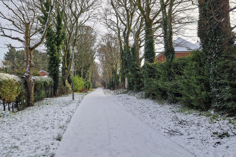 Snow and ice cause major disruption in Derry as schools and services close