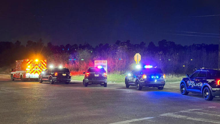 Houston police car catches fire after crash involving robbery suspect ...