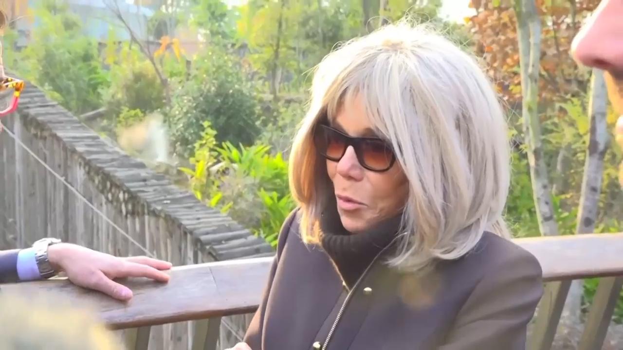 Paris court finds 10 people guilty of cyberbullying France's first lady ...