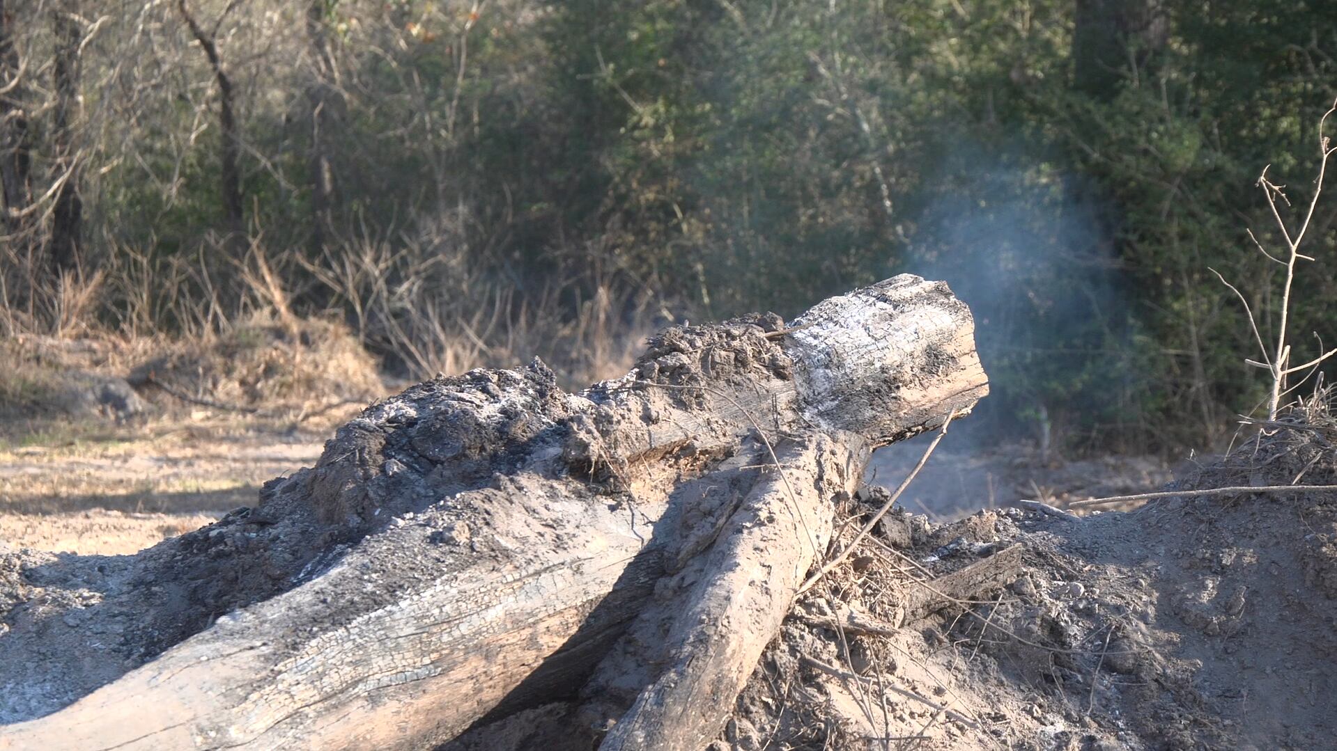Warm winter temperatures lead to a wildfire in Robertson County