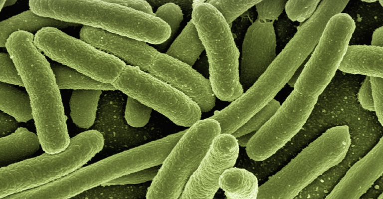26 unknown bacterial species found hiding in NASA’s ‘cleanest rooms on ...