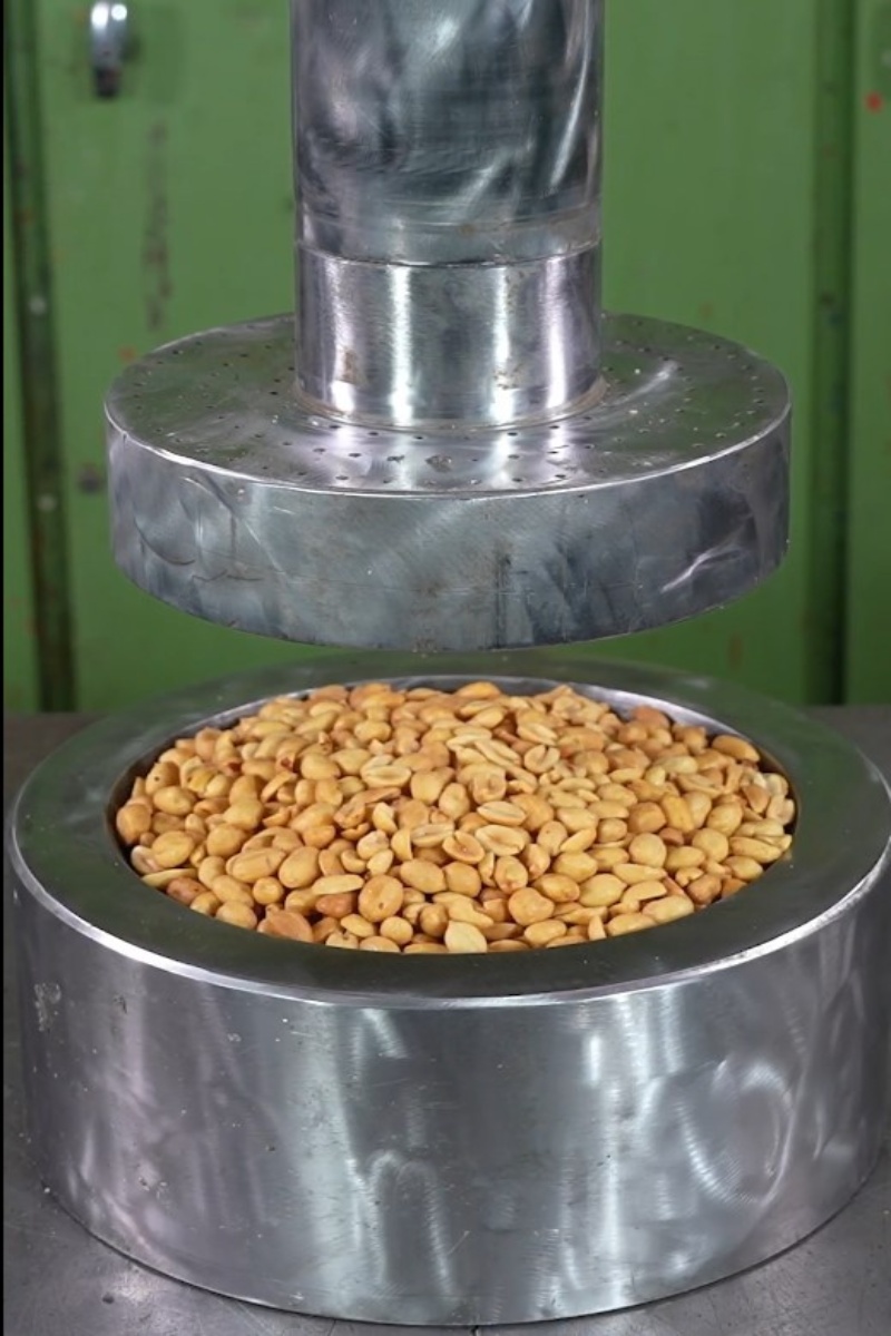 Crushing a big pile of peanuts under a hydraulic press