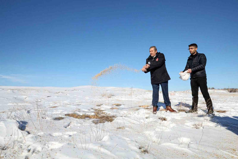 Malatya Darende’de yaban hayvanları için doğaya yem bırakıldı
