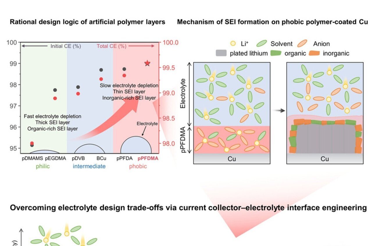 Ultrathin polymer layer extends lifespan of anode-free lithium metal ...