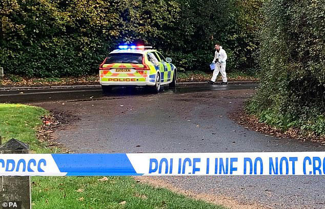 Man, 26, admits killing schoolboy after his car ploughed into him at ...